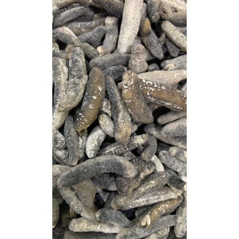 9bde4fb4d323ceb69531d2b6865520a0_1200x1200.jpg?v=1694455044